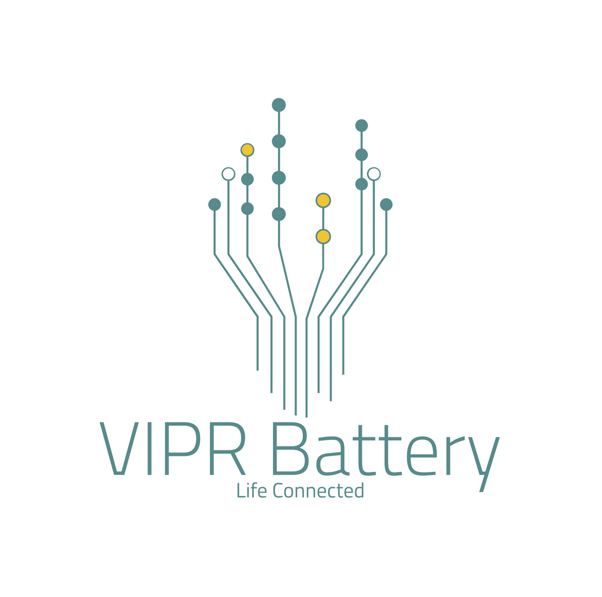 Hand Selected @ VIPR – VIPR Battery